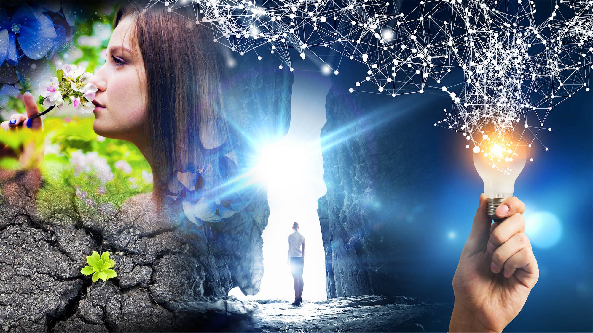 Angel 37 Aniel - Spiritual autonomy